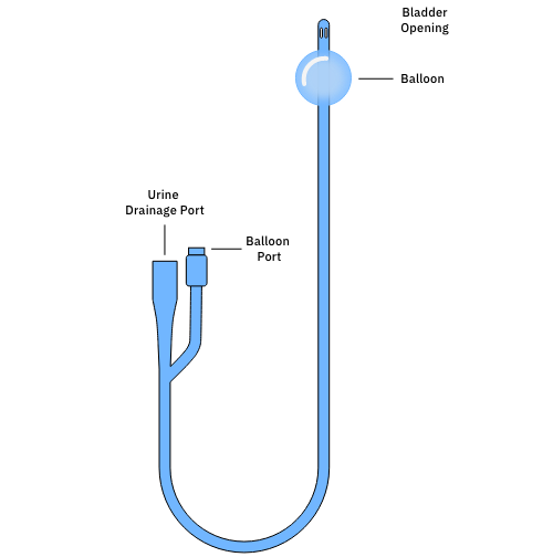 Artboard – 7 - CompactCath