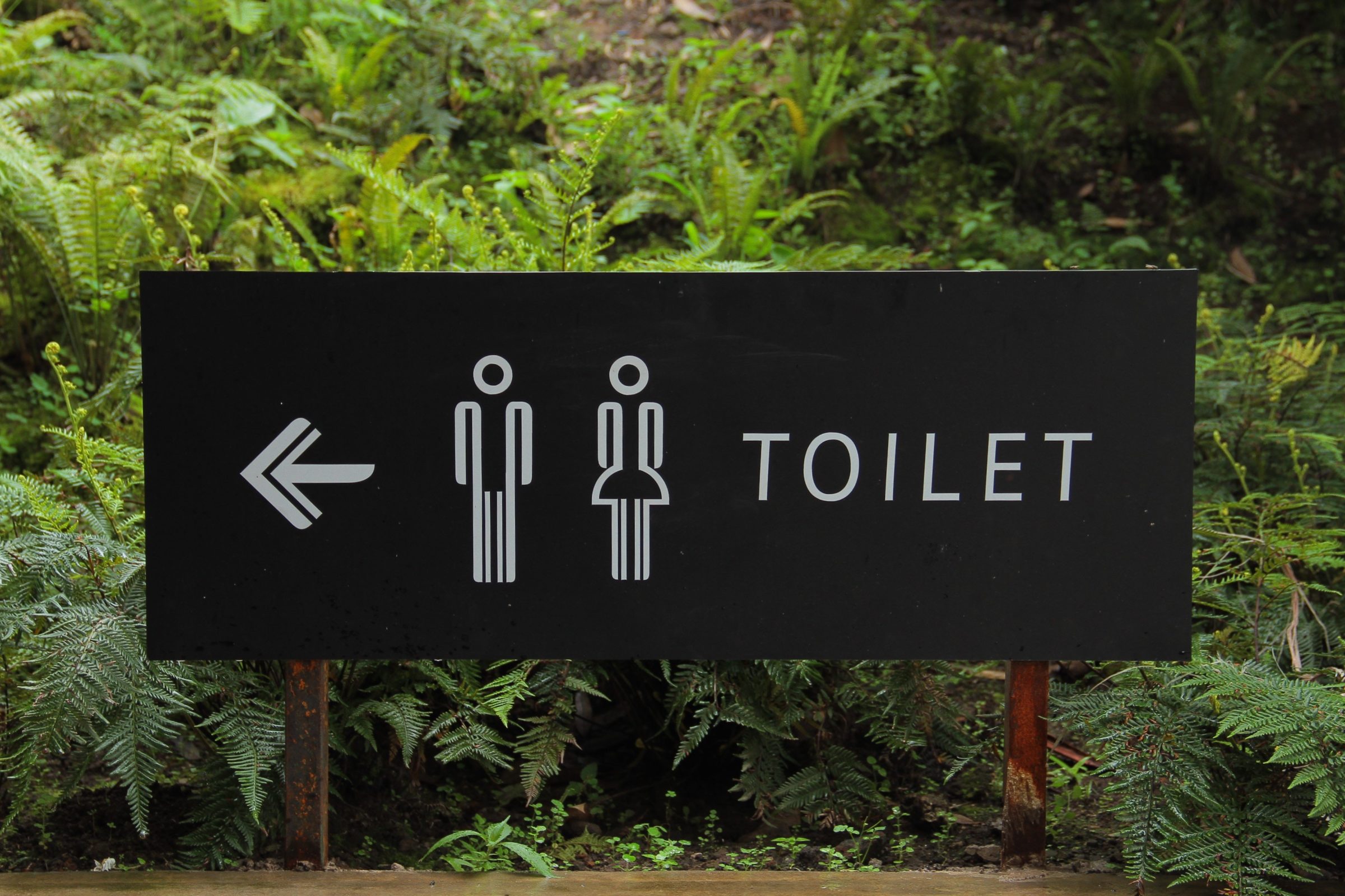 Why Do I Urinate So Often? - CompactCath By Medical Condition Why Do I Urinate So Often? - CompactCath By Medical Condition